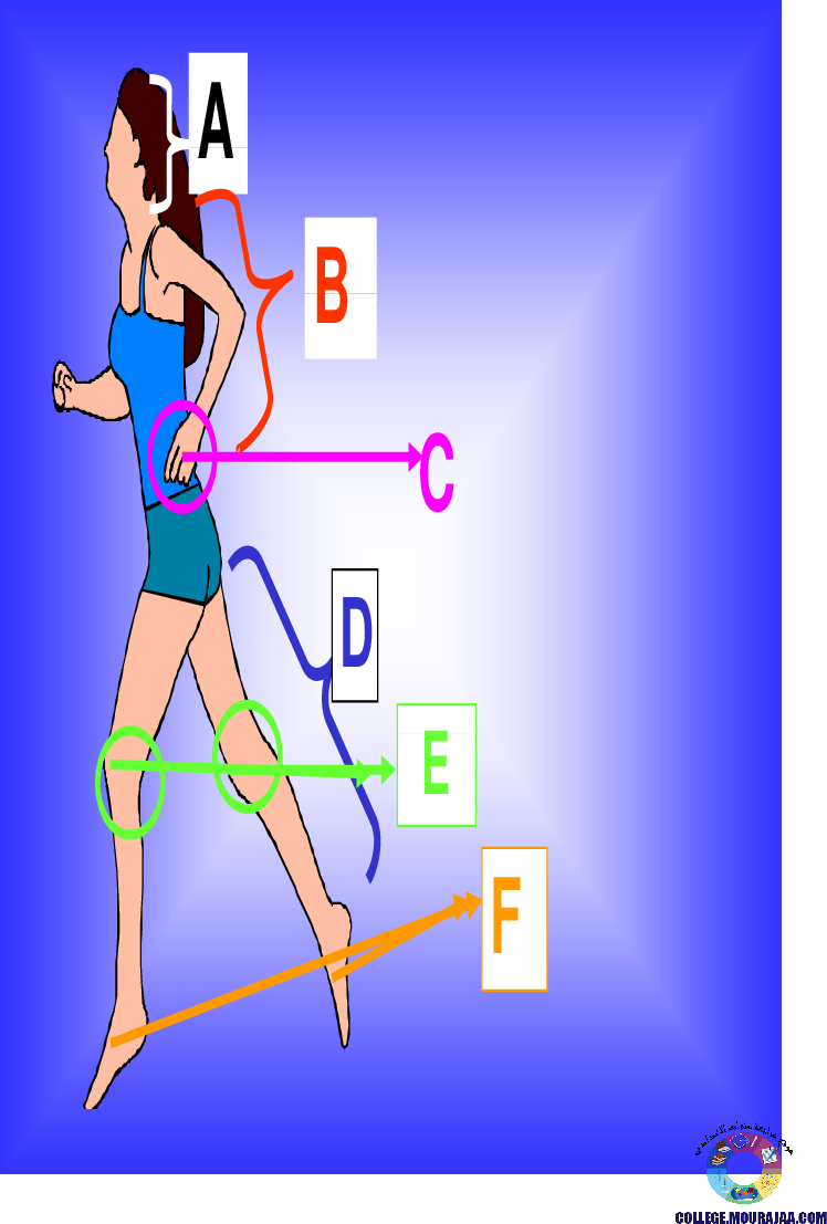  The Part Of Body