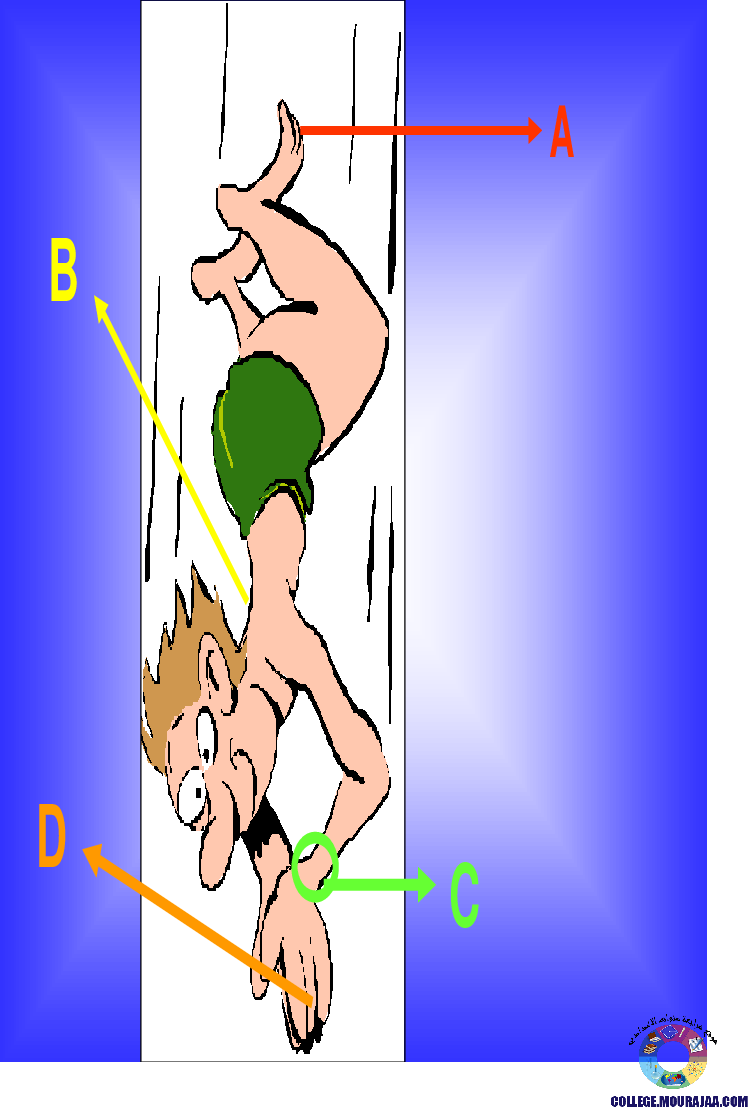  The Part Of Body